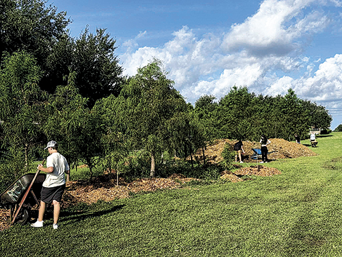 ‘Planting trees for a better tomorrow’ | Future Forestry dedicated to ...